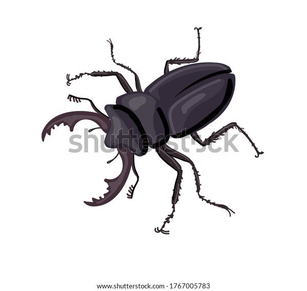 Black Insect Stag Beetle Drawing Isolated Stock Vector (Royalty Free ...