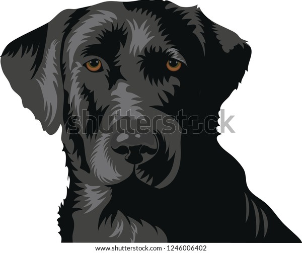 Black Labrador Dog Stock Vector (Royalty Free) 1246006402