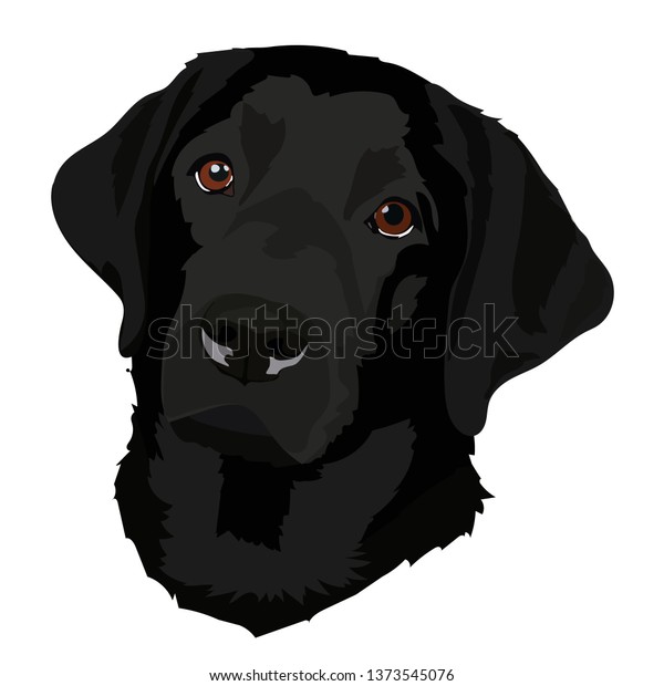 Black Labrador Puppy Vector Illustration Stock Vector (Royalty Free ...