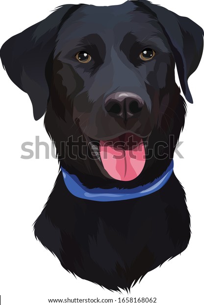 Black Labrador Retriever Dog Vector Illustration Stock Vector (Royalty ...