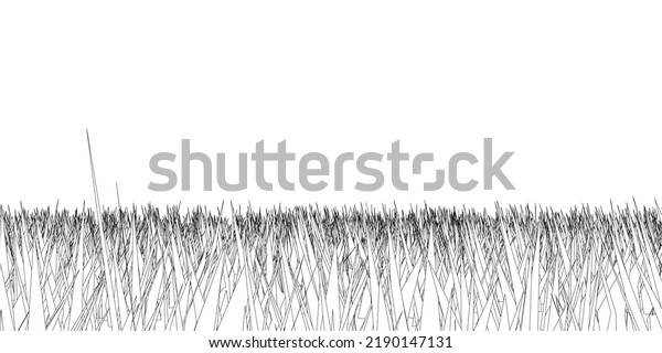 Black Lines Grass Contour Isolated On Stock Vector (Royalty Free ...