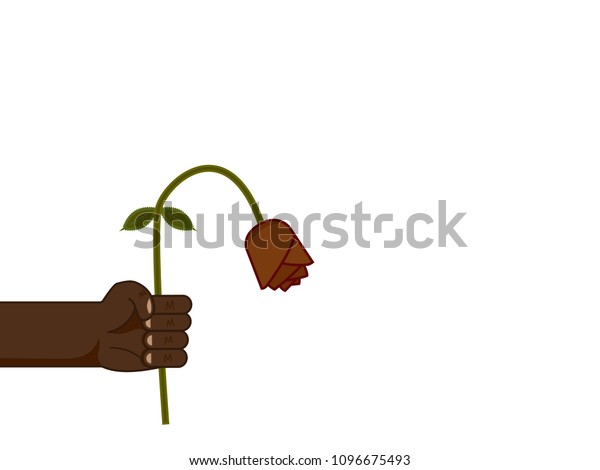 Black Mans Hand Holding Wither Red Stock Vector (Royalty Free ...