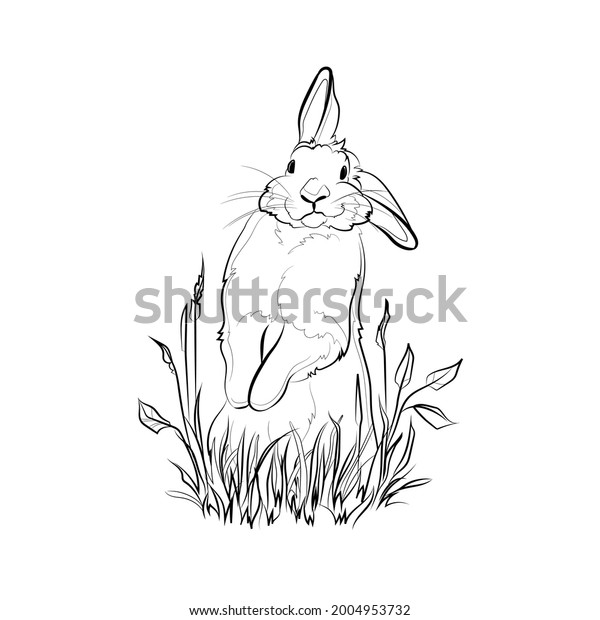 Black Outline Cute Rabbit Grass On Stock Vector (Royalty Free ...