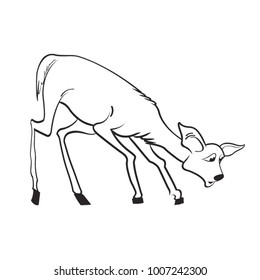 Black Outline Isolated Deer Smelling Vector Stock Vector (Royalty Free ...