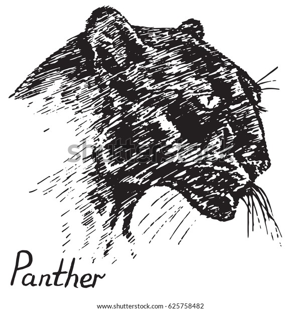 Black Panther Face Profile Hand Drawn Stock Vector (Royalty Free ...