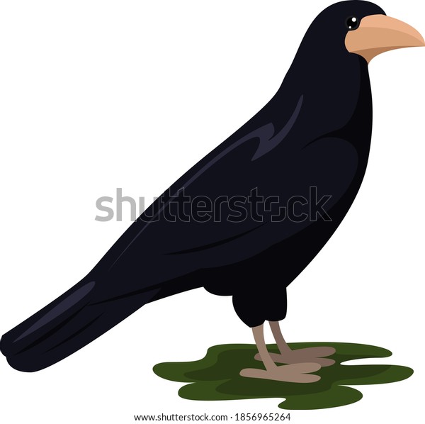 Black Rook Illustration Vector On White Stock Vector (Royalty Free ...
