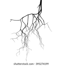 Black Root System Vector Set Stock Vector (Royalty Free) 346488203 ...