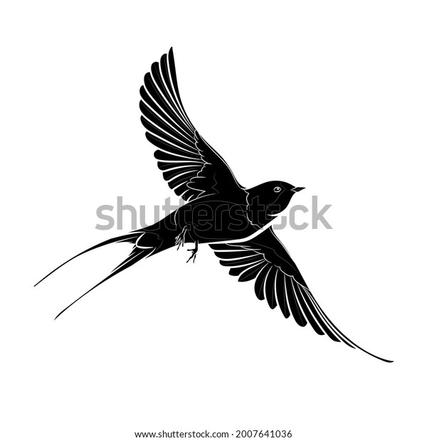 Black Silhouette Flying Barn Swallow Hirundo Stock Vector (Royalty Free ...