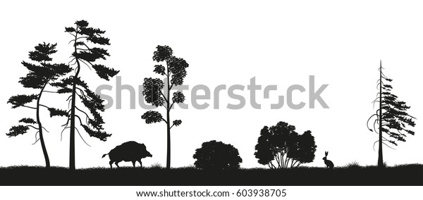 Black Silhouette Forest Trees On White Stock Vector (Royalty Free ...