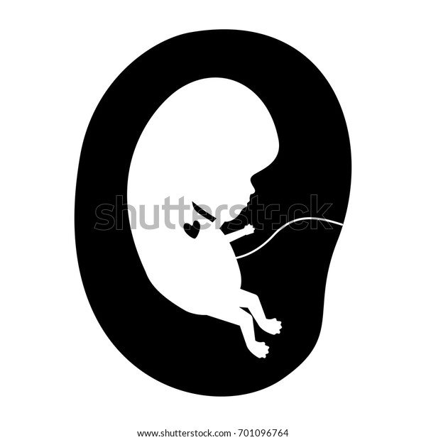 Black Silhouette Side View Fetus Human: стоковая векторная графика (без ...