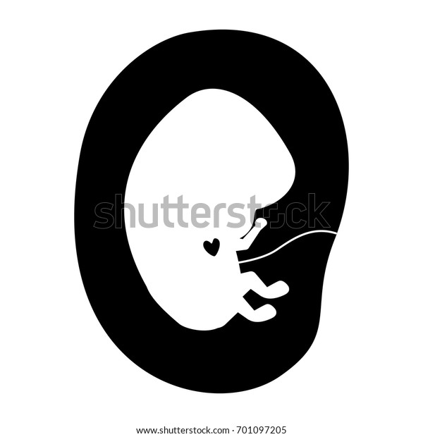 Black Silhouette Side View Fetus Human Stock Vector (Royalty Free ...