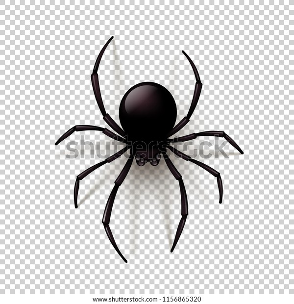 Black Spider Transparent Shadow On Checkered Stock Vector (Royalty Free ...