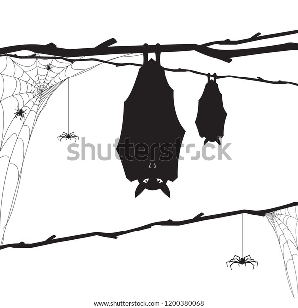 Black Spiders Spiderweb Bats Stock Vector (Royalty Free) 1200380068 ...
