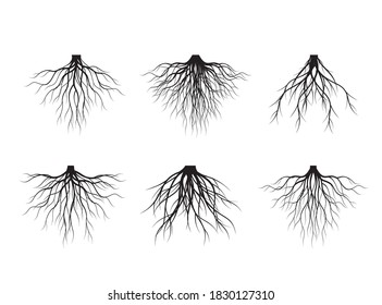 Black Tree Roots Vector Outline Illustration Stock Vector (Royalty Free ...