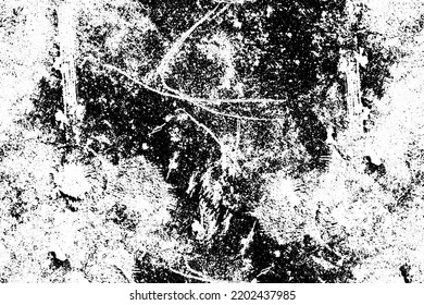 Black White Abstract Texture Stock Vector (Royalty Free) 2202437985 ...
