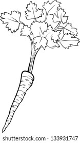 Black White Cartoon Vector Illustration Parsley: vector de stock (libre ...