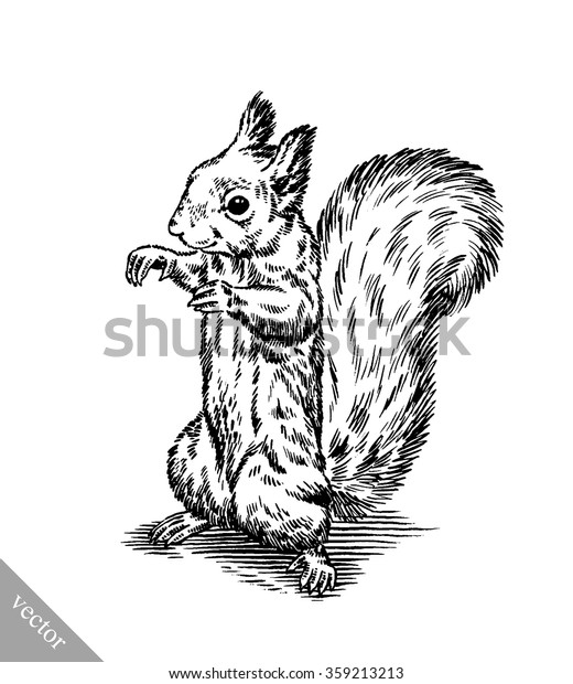 Image vectorielle de stock de Black White Engrave Isolated Squirrel ...