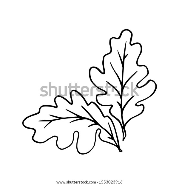 9,936 Oak Leaf Line Drawing Images, Stock Photos & Vectors | Shutterstock