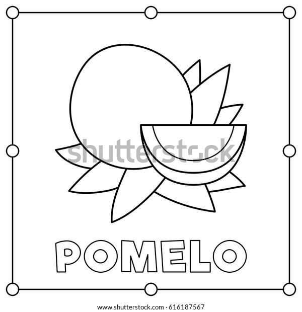 Black White Illustration Pomelo Coloring Page: vector de stock (libre ...
