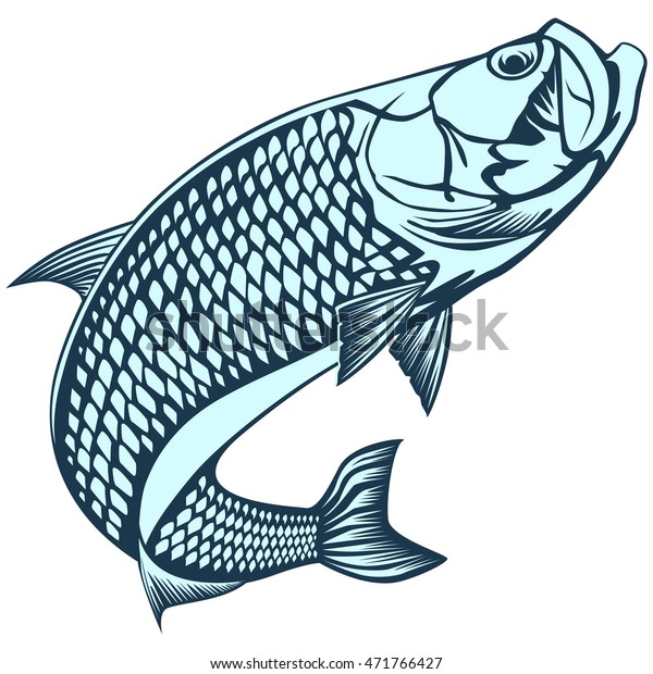 Black White Illustration Tarpon Vector Illustration Stock Vector ...