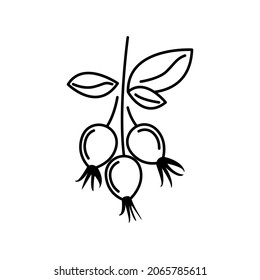 613 Rosehips logo Images, Stock Photos & Vectors | Shutterstock