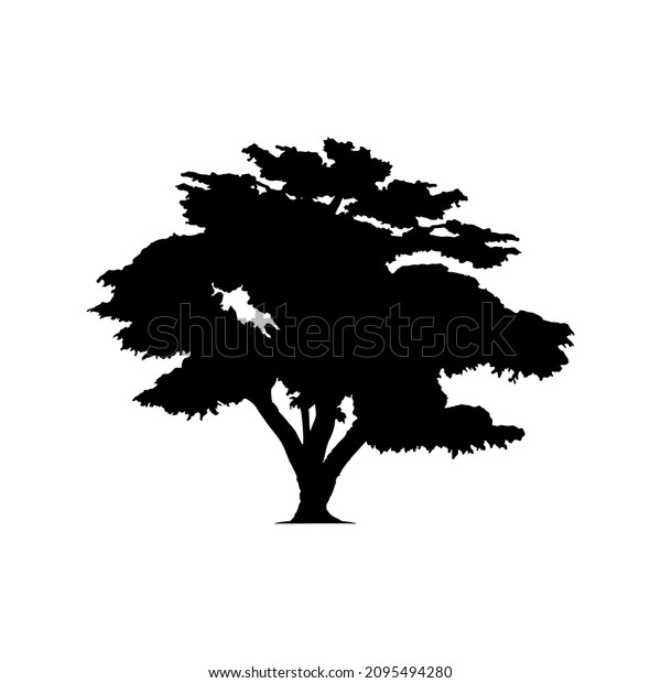 Black White Lebanon Cedar Tree Vector Stock Vector (Royalty Free ...