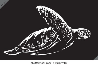 270 Turtle Etching Images, Stock Photos & Vectors | Shutterstock