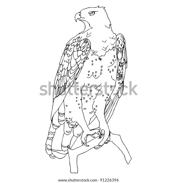Black White Original Drawing Hawk Stock Vector (Royalty Free) 91226396