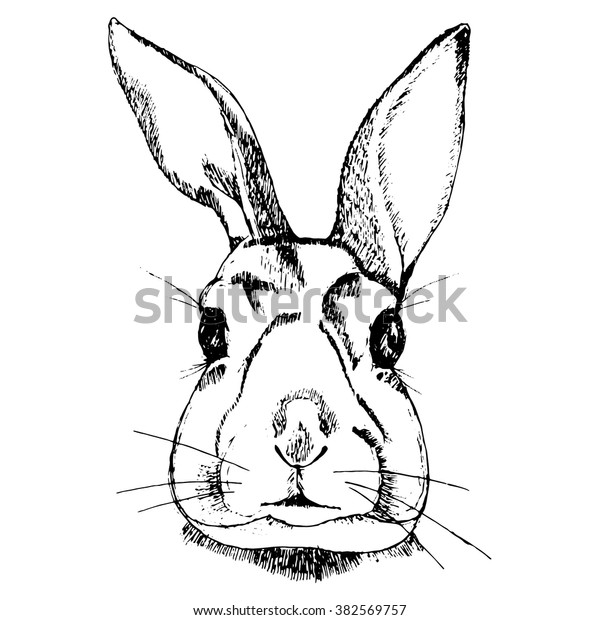 Black White Rabbit Illustration On Simple Stock Vector (Royalty Free ...