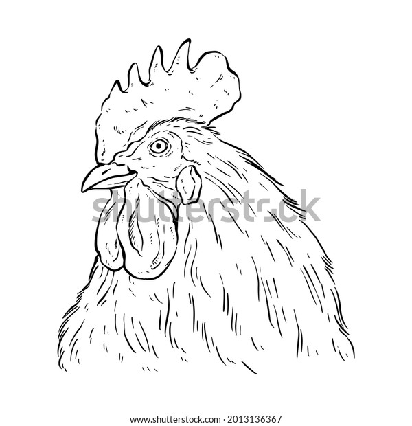 Black White Rooster Head Hand Draw Stock Vector (Royalty Free ...
