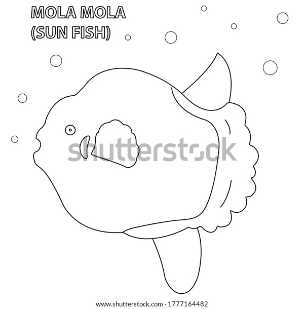 Black White Vector Illustration Coloring Book Stock Vector (Royalty ...