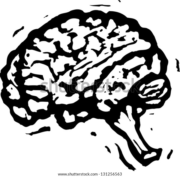 Black White Vector Illustration Human Brain Stock Vector (Royalty Free ...