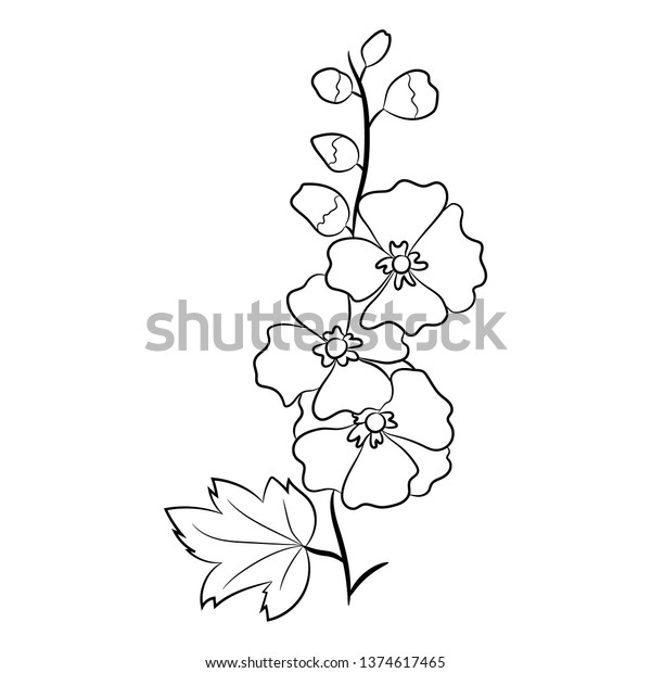 Black White Vector Illustration Mallow Plant Stock Vector (Royalty Free ...