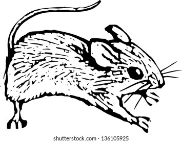 Black White Vector Illustration Mouse Stock Vector (Royalty Free ...