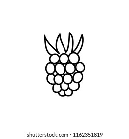 Black White Vector Illustration Raspberry Line Stock Vector (Royalty ...