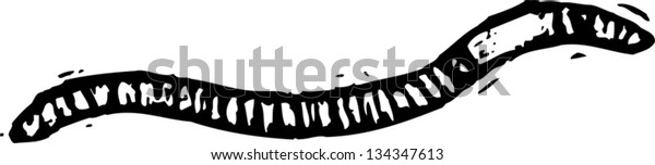 Black White Vector Illustration Worm Stock Vector (Royalty Free ...