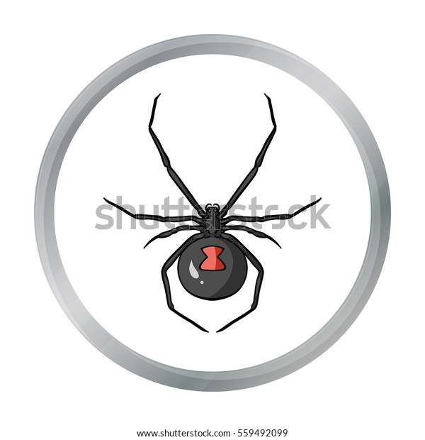 Black Widow Spider Icon Cartoon Style Stock Vector (Royalty Free) 559492099