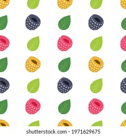 Blackberry Raspberry Yellow Raspberry Isolated On Stock Vector (Royalty ...