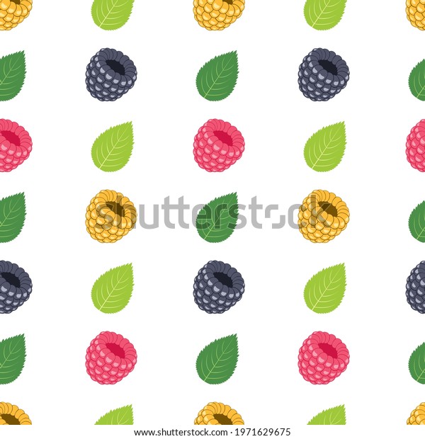 Blackberry Raspberry Yellow Raspberry Isolated On Stock Vector (Royalty ...
