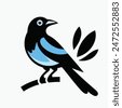 62,517 Magpie Royalty-Free Images, Stock Photos & Pictures | Shutterstock