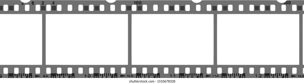 Blank Empty Analog Photography Camera Negative: vector de stock (libre ...