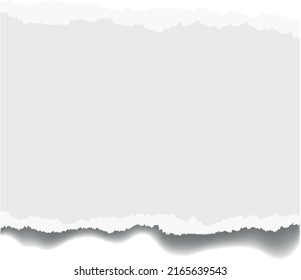 Blank Paper Page Torn Edge Realistic Stock Vector (Royalty Free ...