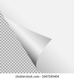 Lower Right Paper Corner Transparency Showing Stock Vector (Royalty ...