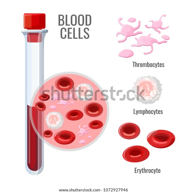 Blood cells research poster with sample in glass flask