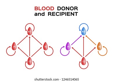 Blood Donor Recipient Vector Types Blood Stock Vector (Royalty Free ...
