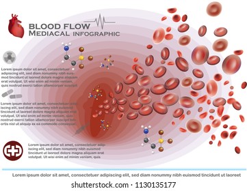 Blood Flow Infographic Stock Vector (Royalty Free) 1130135177 ...