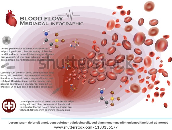 Blood Flow Infographic Stock Vector (Royalty Free) 1130135177 ...