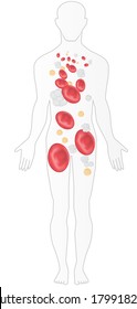 Blood Human Body Stock Vector (Royalty Free) 179918201 | Shutterstock