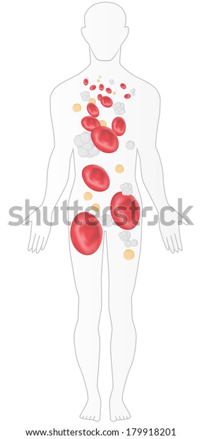 Blood Human Body Stock Vector (Royalty Free) 179918201 | Shutterstock