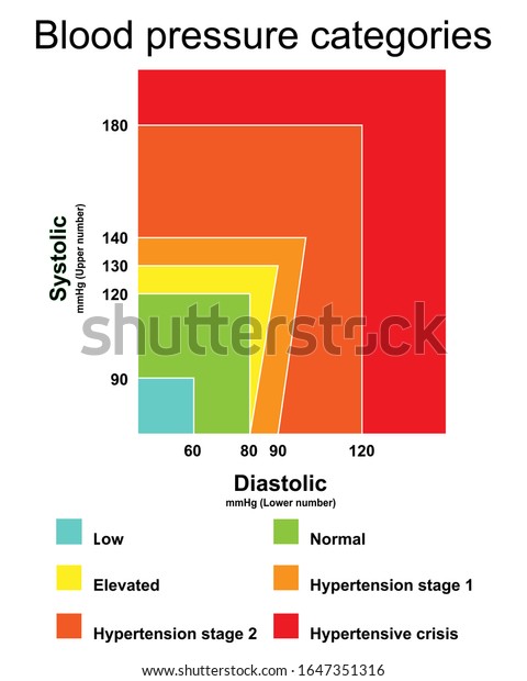Blood Pressure Categories Infographic Chart Isolated Stock Vector ...